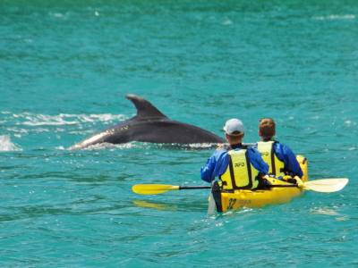 Scenic Sailing in New Zealand's Stunning Abel Tasman National Park