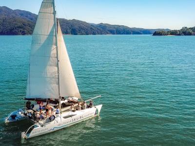 Scenic Sailing in New Zealand's Stunning Abel Tasman National Park