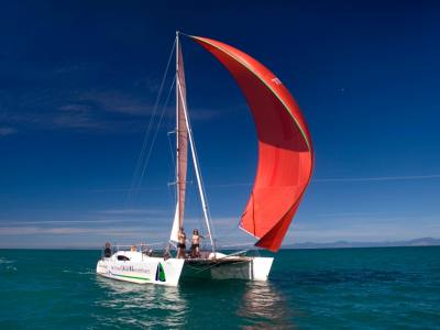 Scenic Sailing in New Zealand's Stunning Abel Tasman National Park
